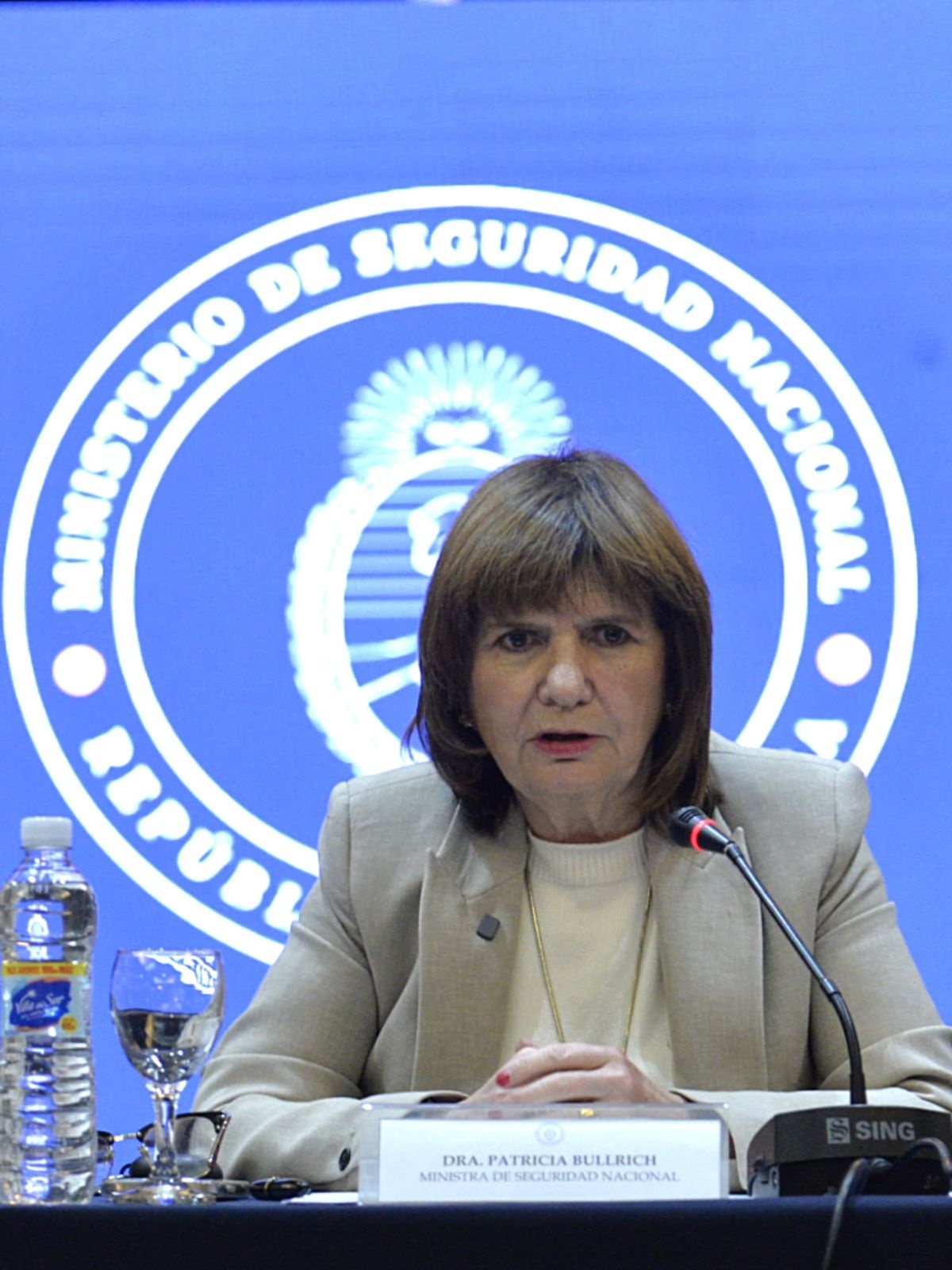 Patricia Bullrich en el Consejo de Seguridad Interior: "Argentina es ...